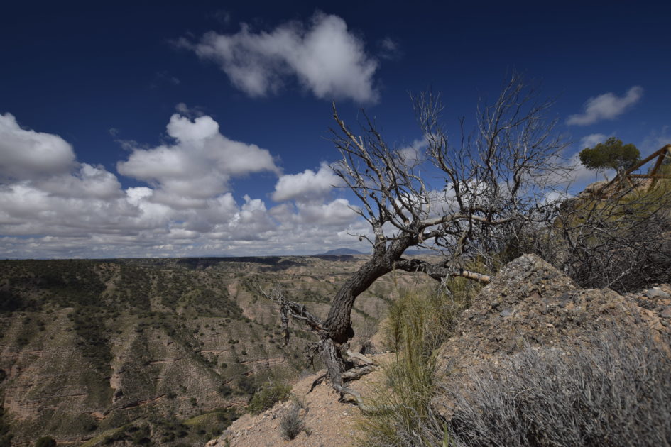 Una ruta en familia y con amigos por el Monte Pajarillo (y muchas ...