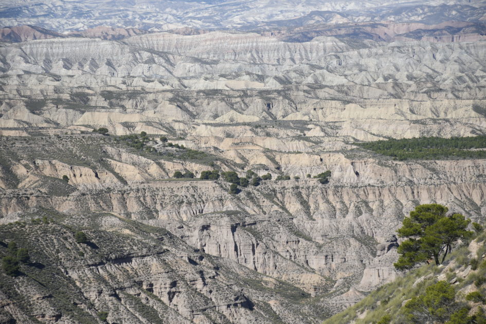 Una ruta en familia y con amigos por el Monte Pajarillo (y muchas ...