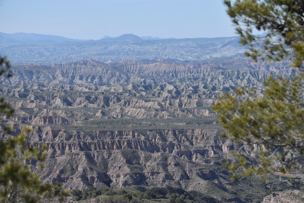 Una ruta en familia y con amigos por el Monte Pajarillo (y muchas ...